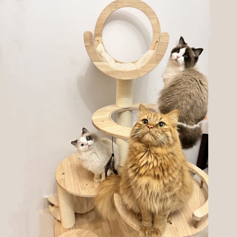 Building Block Cat Tree – Happy & Polly