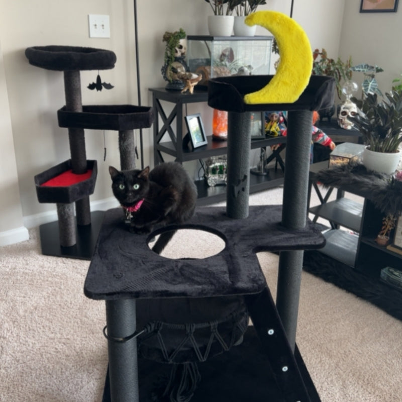 Gothic Style Cat Tree – Happy & Polly