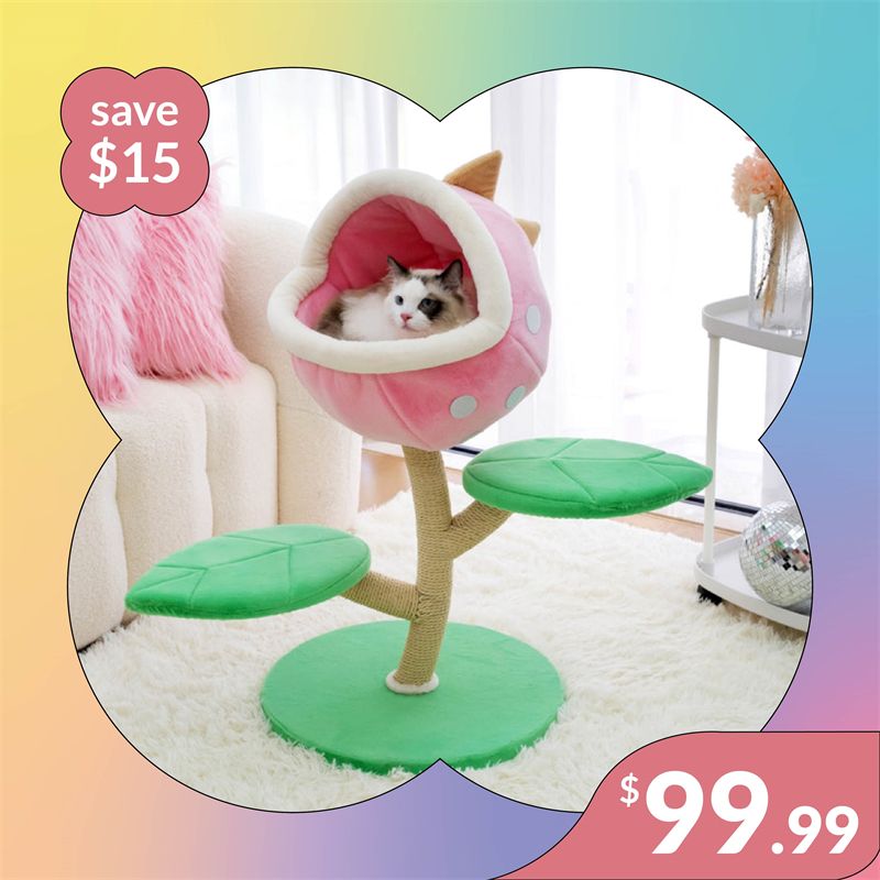 Cat Trees, Condos & Towers - HappyandPolly – Happy & Polly