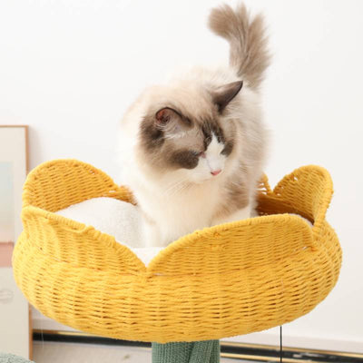 Yellow Tulip Cat Tree – Happy & Polly