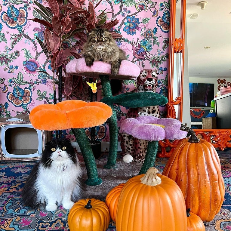 Bloomy Flower Cat Tree - Unique and Stylish– Happy & Polly