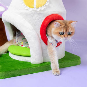 Happy & Polly Online Pet Store | Cat Bowls, Toys, Trees & Supplies