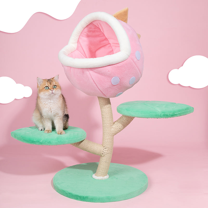 Buy Best Cat Products Online - Happy & Polly
