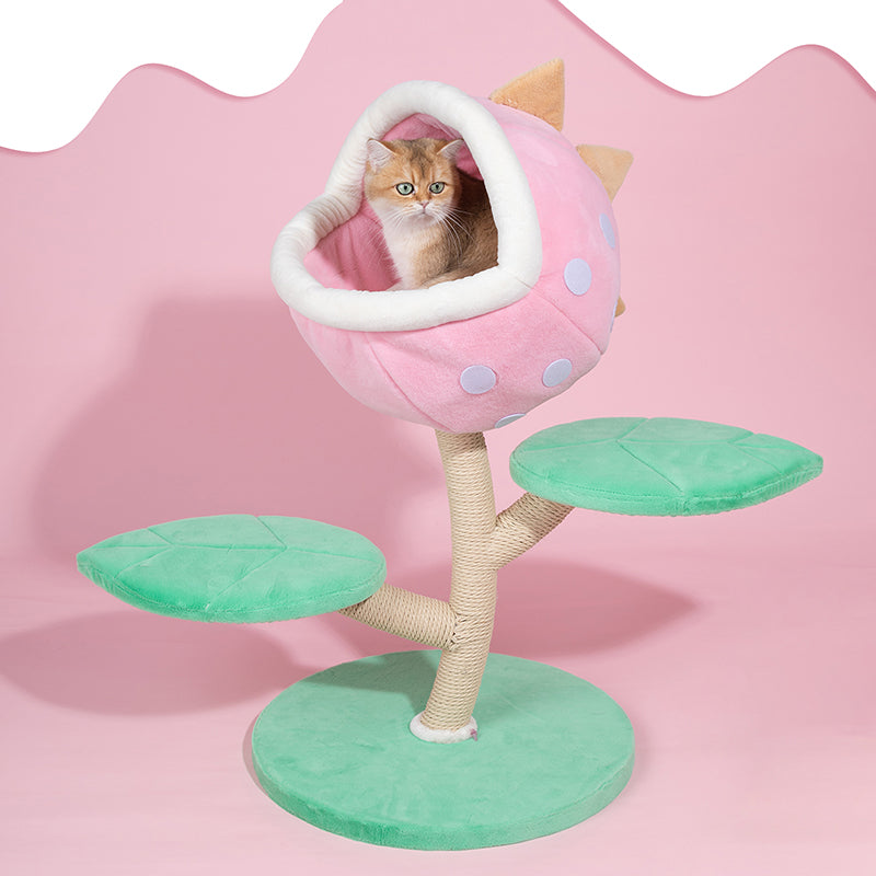 Buy Best Cat Products Online - Happy & Polly