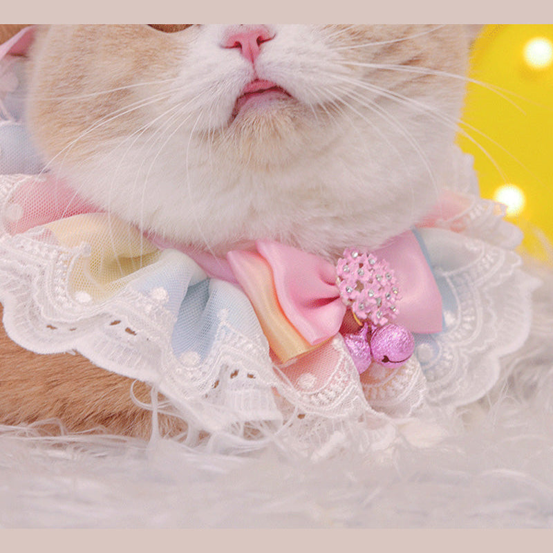 Buy Best Cat Products Online - Happy & Polly – Page 5