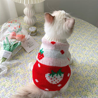 Cat Clothes | Best Cat Costume Online Shopping – Happy & Polly