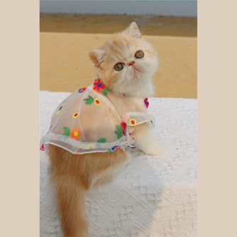 Cat Clothes | Best Cat Costume Online Shopping – Happy & Polly