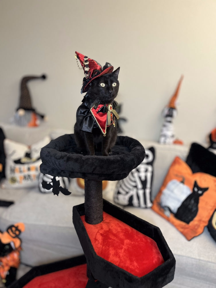 Gothic Style Cat Tree – Happy & Polly