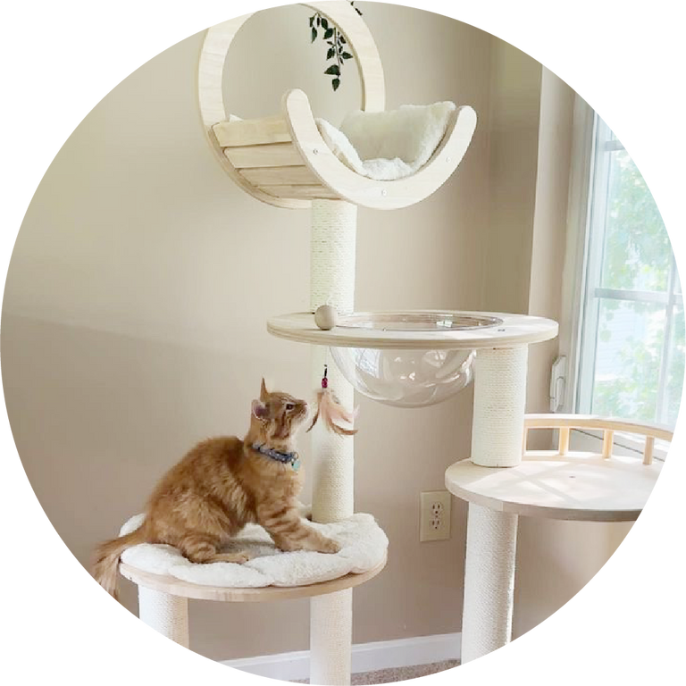 Building Block Cat Tree – Happy & Polly