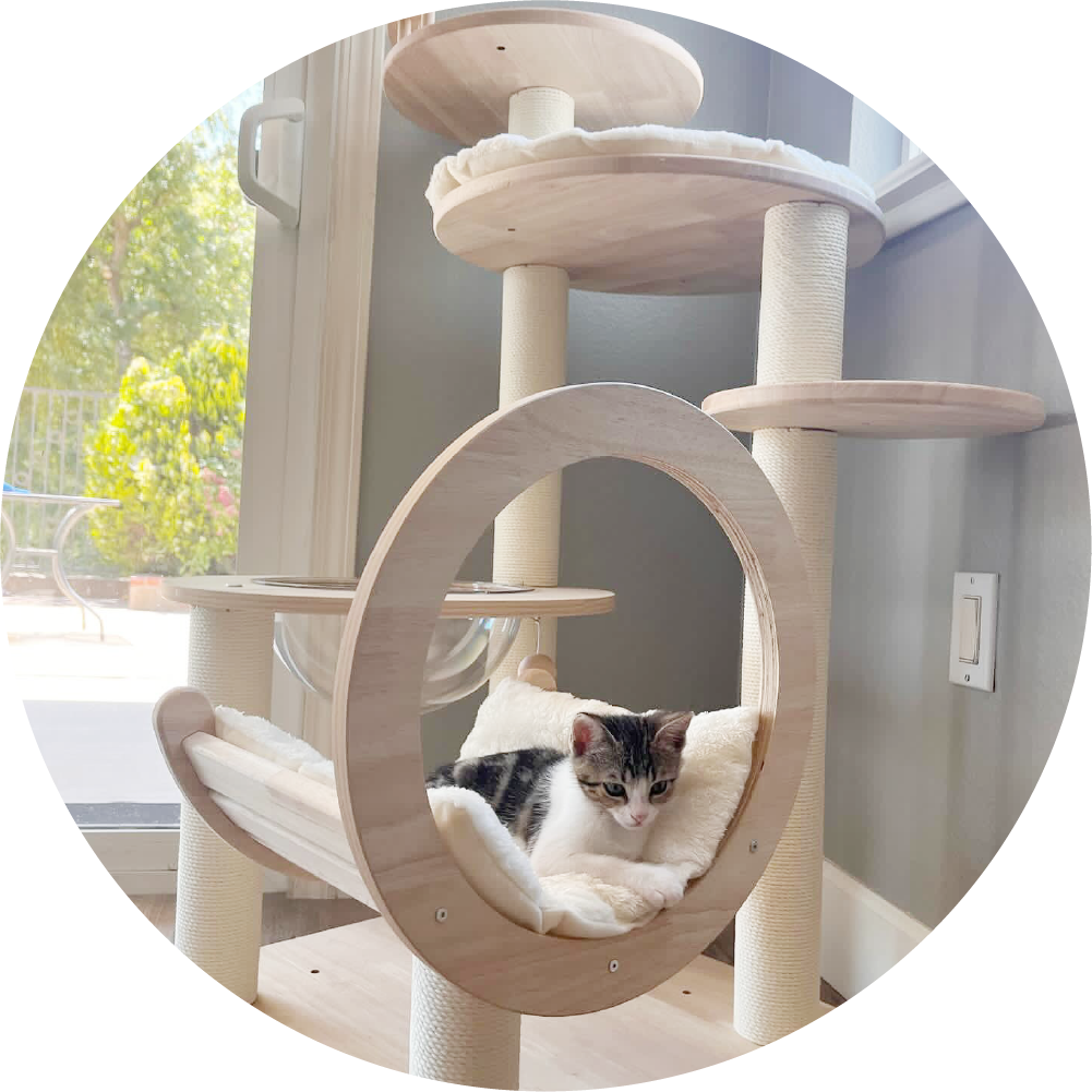 Building Block Cat Tree – Happy & Polly