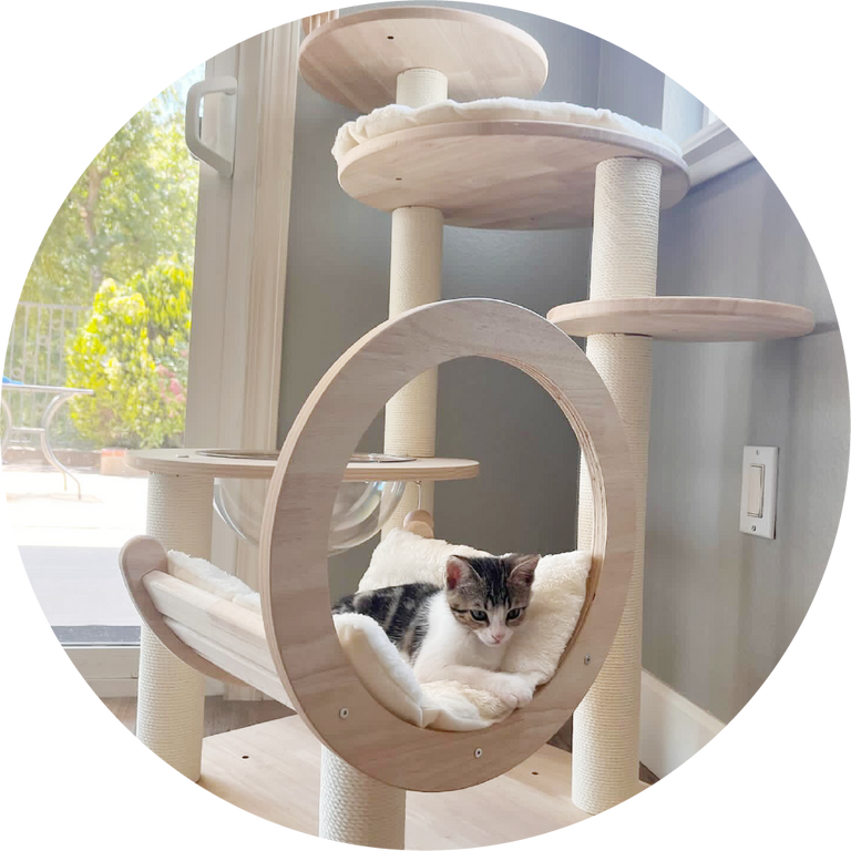 Building Block Cat Tree Happy And Polly